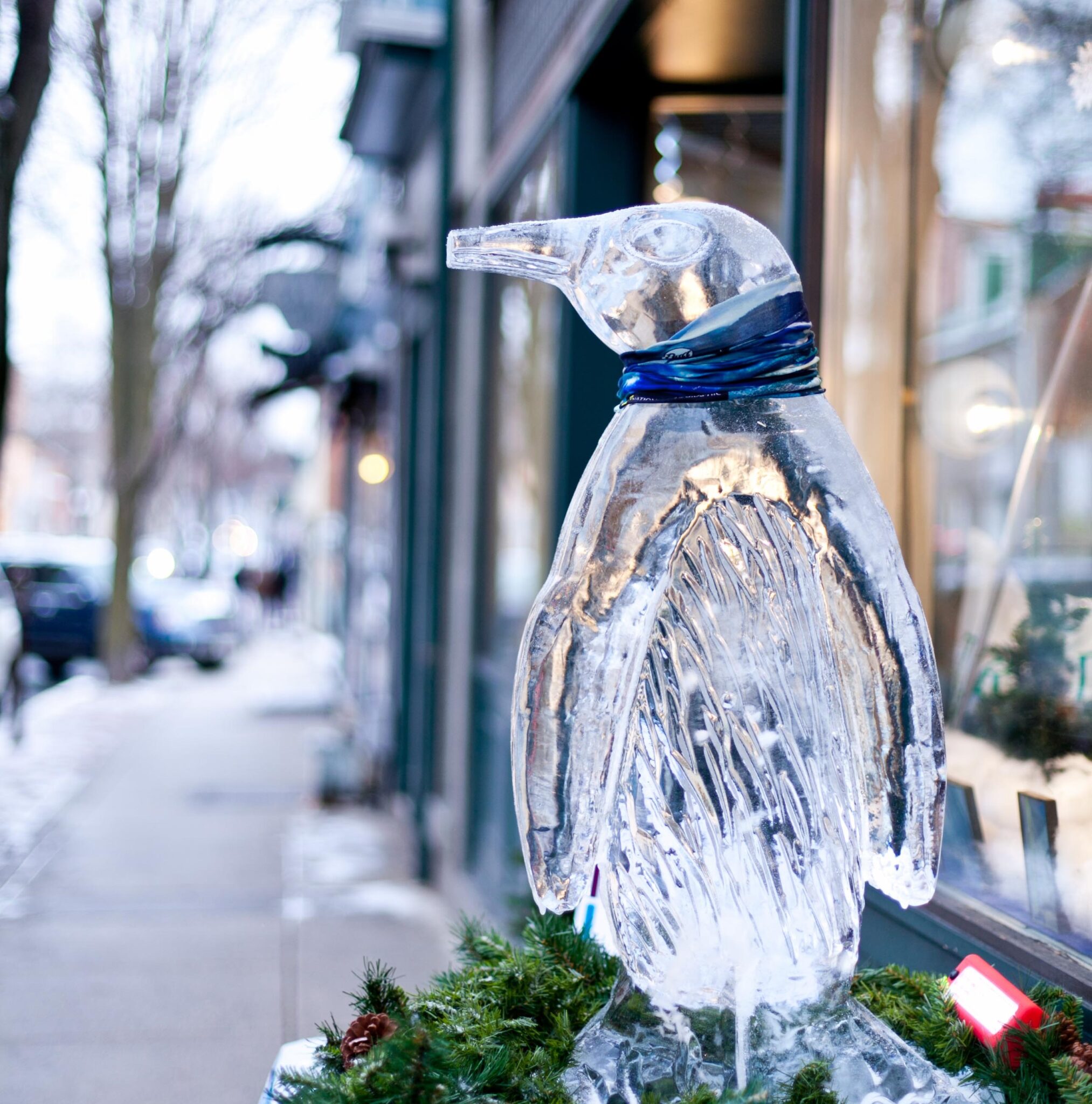 Fire In Ice • Downtown Frederick Partnership