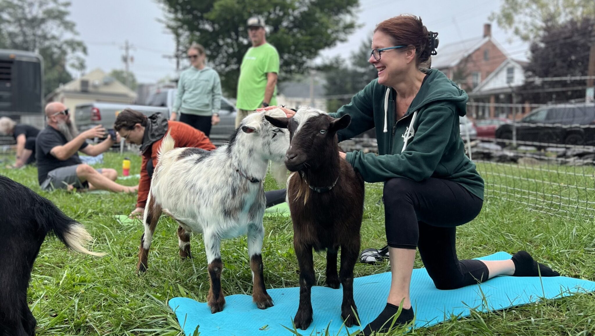 Goat Yoga in Downtown Frederick • Downtown Frederick Partnership