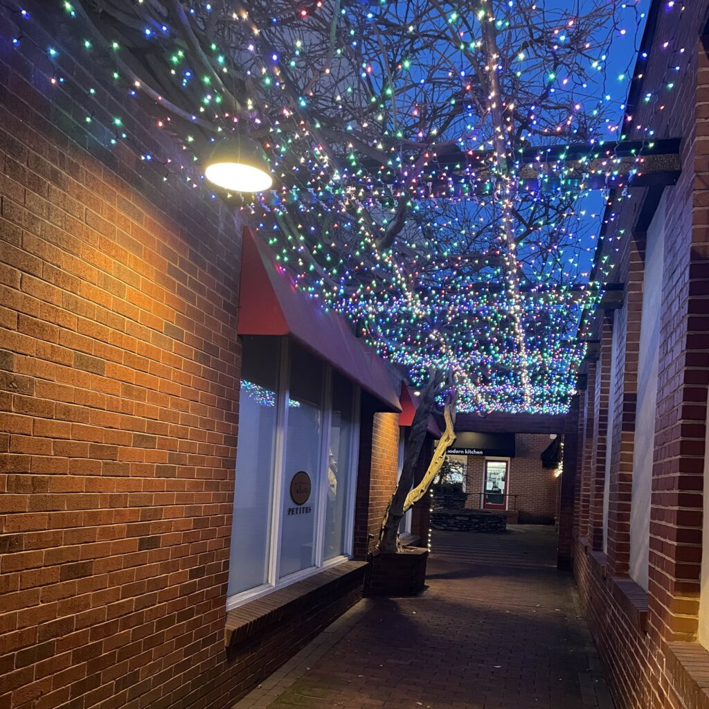 Light Walk • Downtown Frederick Partnership