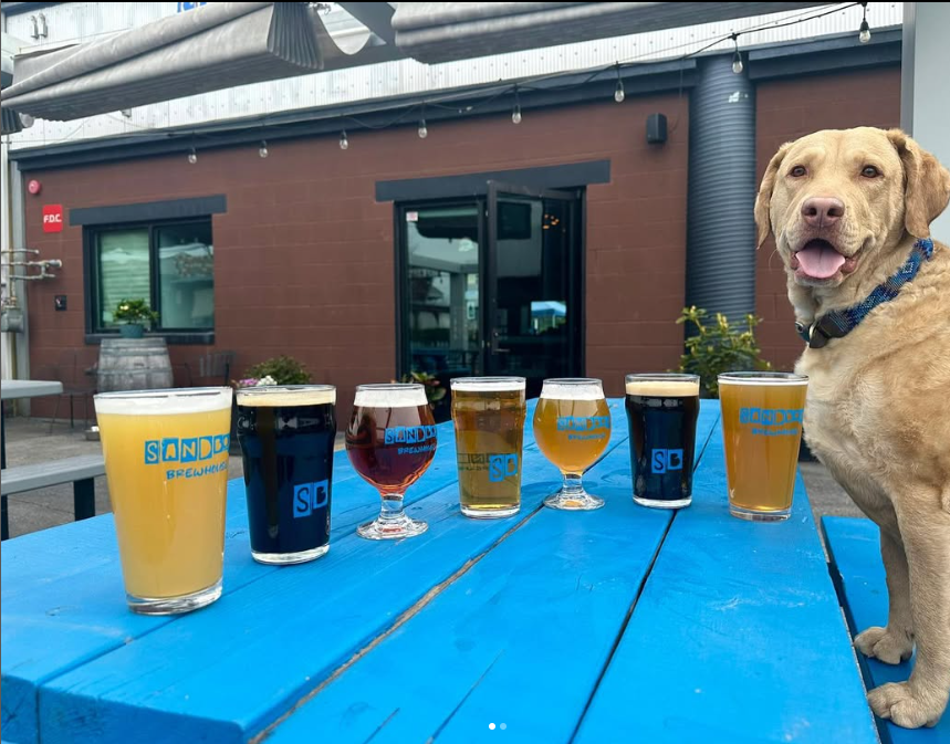 Sandbox Brewhouse • Downtown Frederick Partnership